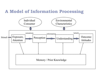 exposure attention perception | PPT