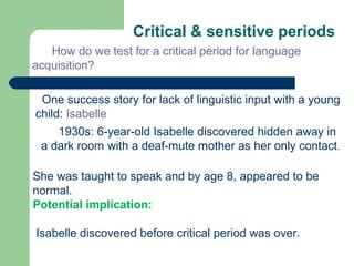 Included 3 the critical period 2013 | PPT