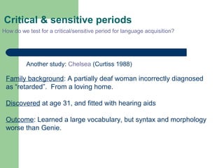 Included 3 the critical period 2013 | PPT