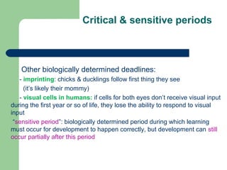 Included 3 the critical period 2013 | PPT