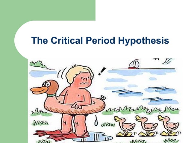 Included 3 the critical period 2013 | PPT
