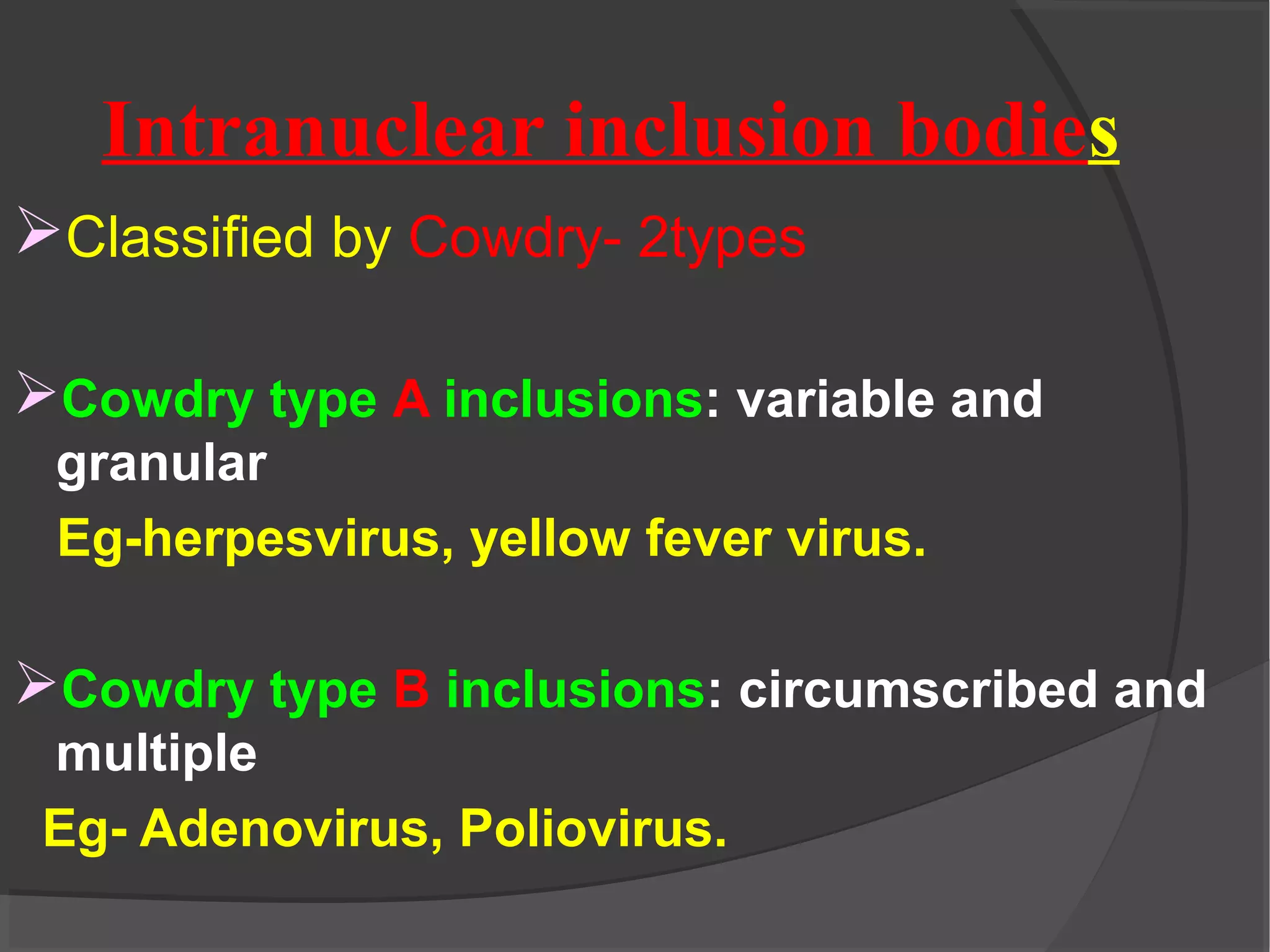 Inclusion bodies | PPT