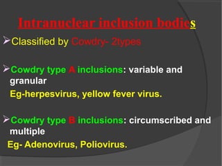 Inclusion bodies | PPT