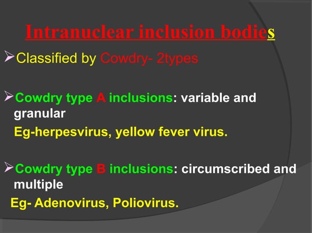 Inclusion bodies | PPT