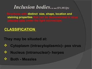 Inclusion bodies | PPT