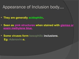 Inclusion bodies | PPT