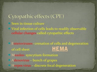Inclusion bodies | PPT