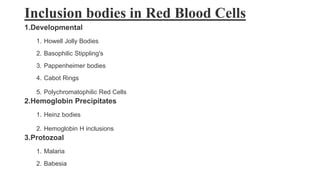 Inclusion bodies | PPTX