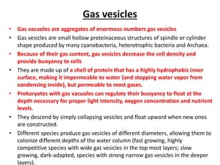 Inclusion bodies a brief overview in english.pdf