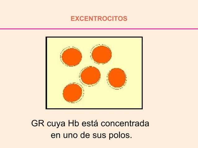 Inclusiones citoplasmaticas y alteraciones morfologicas | PPT | Blood ...