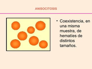 Inclusiones citoplasmaticas y alteraciones morfologicas | PPT