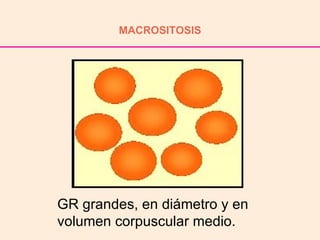 Inclusiones citoplasmaticas y alteraciones morfologicas | PPT