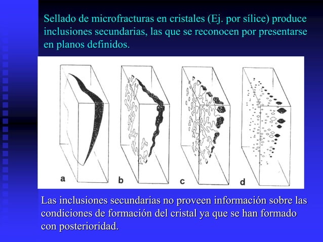 Inclusiones fluidas ppt | PDF