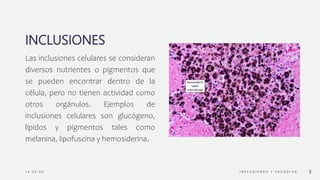 Inclusiones y Vacuolas con toda la información necesaria | PPTX
