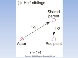 Inclusive Fitness Hamilton Rule | PPTX
