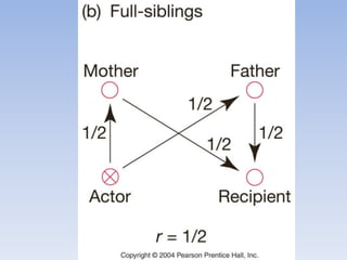Inclusive Fitness Hamilton Rule | PPTX