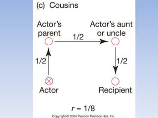 Inclusive Fitness Hamilton Rule | PPTX