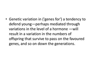 Inclusive Fitness Hamilton Rule | PPTX
