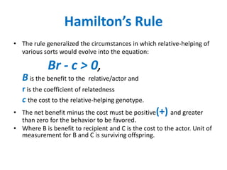 Inclusive Fitness Hamilton Rule | PPTX