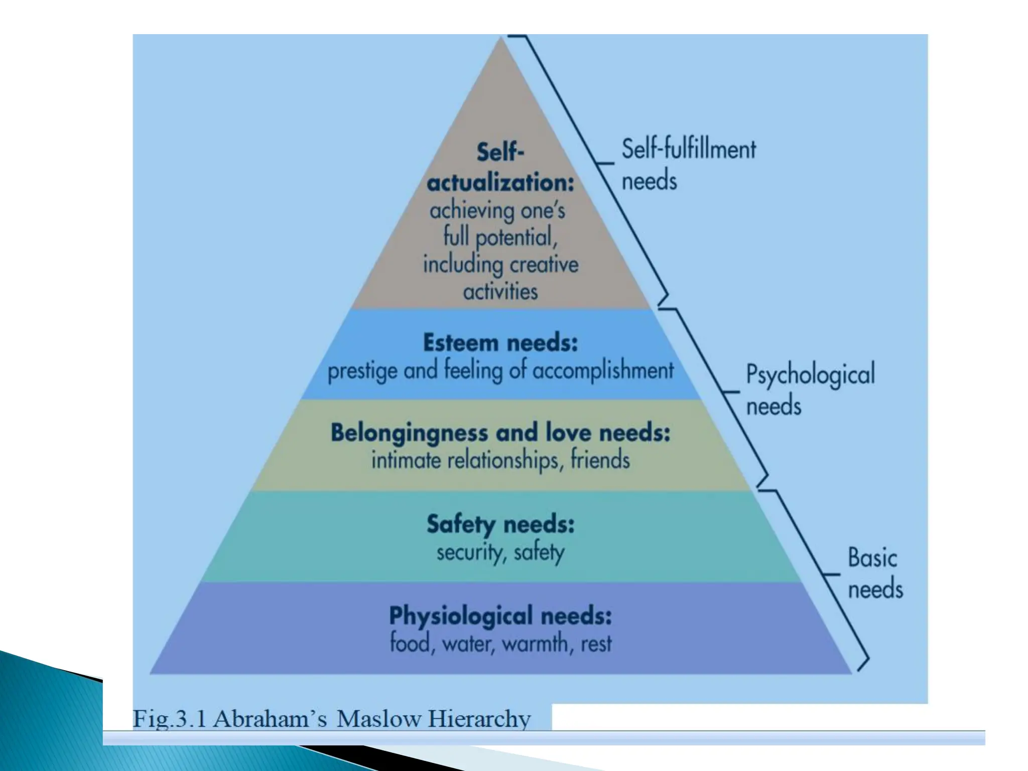 Inclusiveness all in one.pdf FRESHMAN STUDENT | PDF