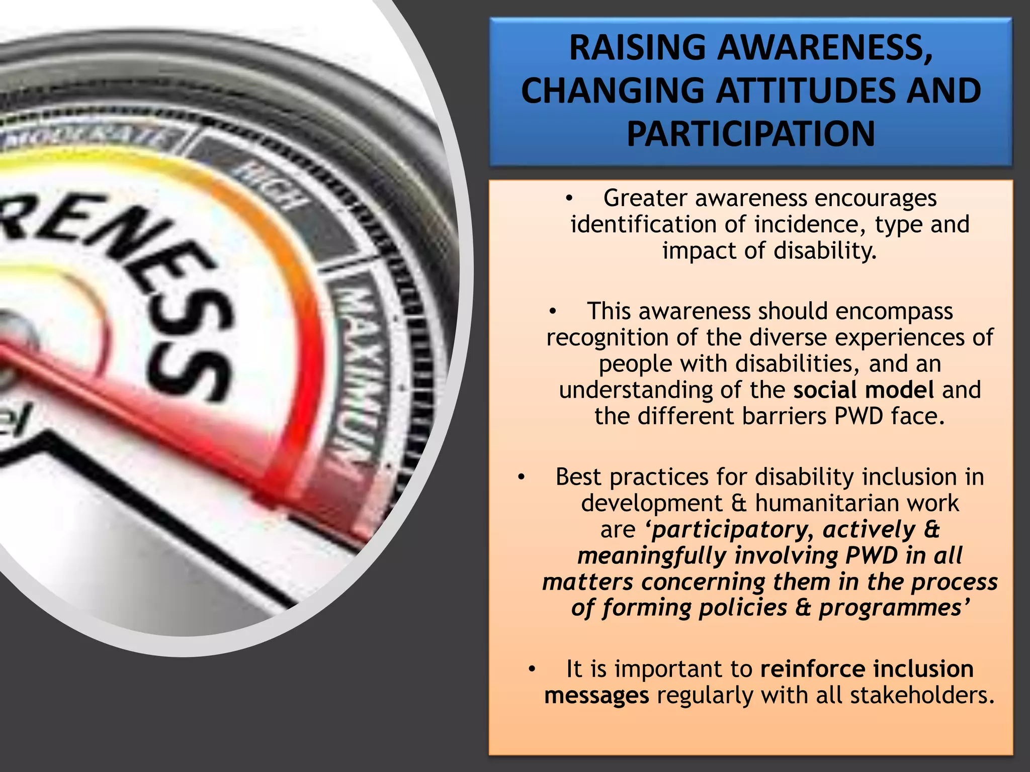 Creating a Disability Inclusion Framework: Best Practices and Viable ...