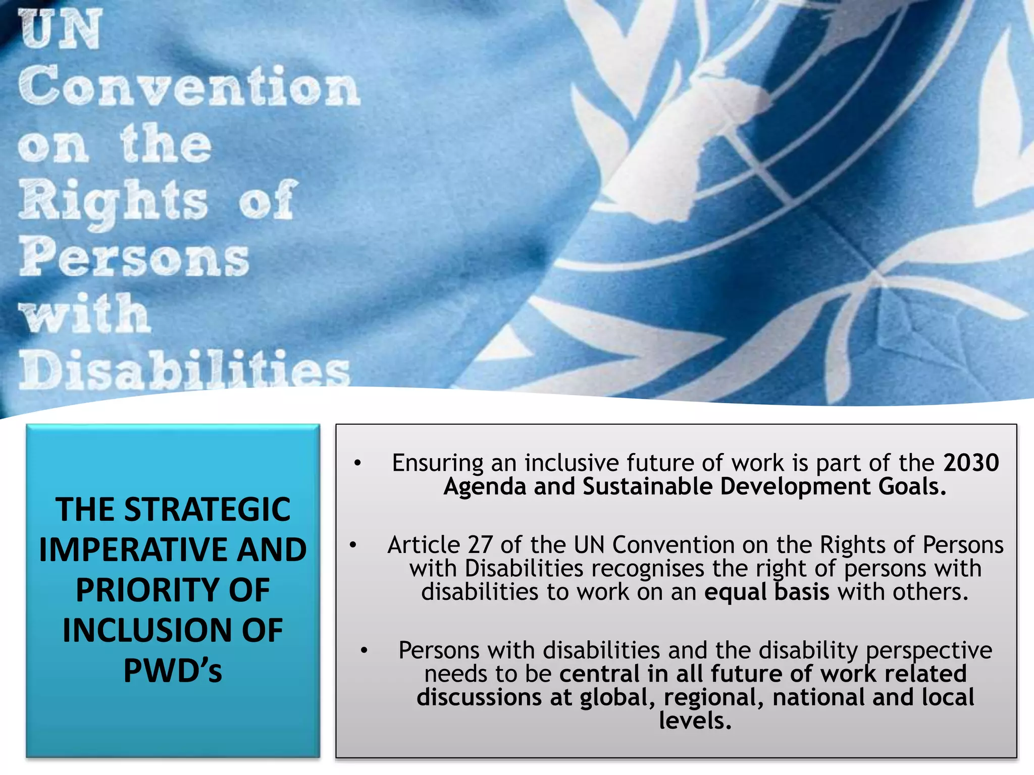 Creating a Disability Inclusion Framework: Best Practices and Viable ...