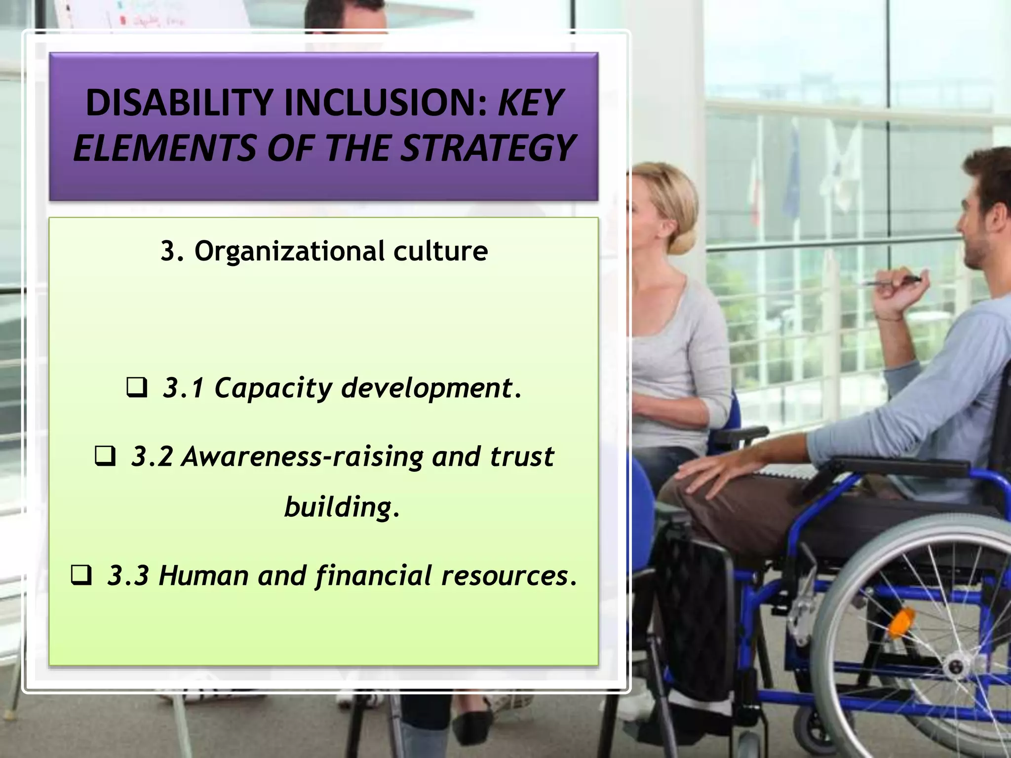 Creating a Disability Inclusion Framework: Best Practices and Viable ...