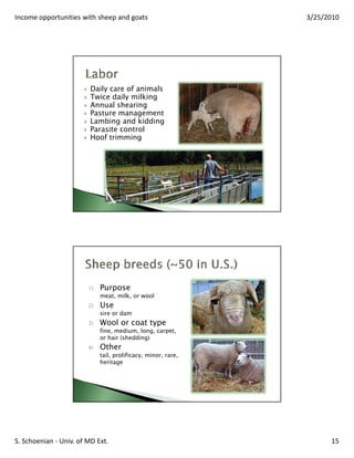 Income opportunities with sheep and goats | PDF