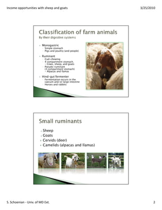 Income opportunities with sheep and goats | PDF