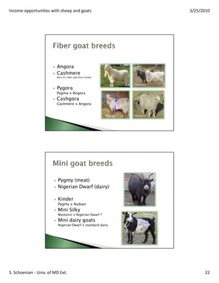 Income opportunities with sheep and goats | PDF