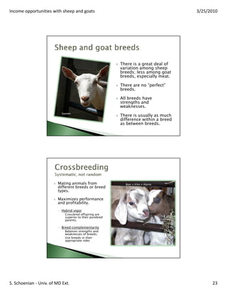 Income opportunities with sheep and goats | PDF