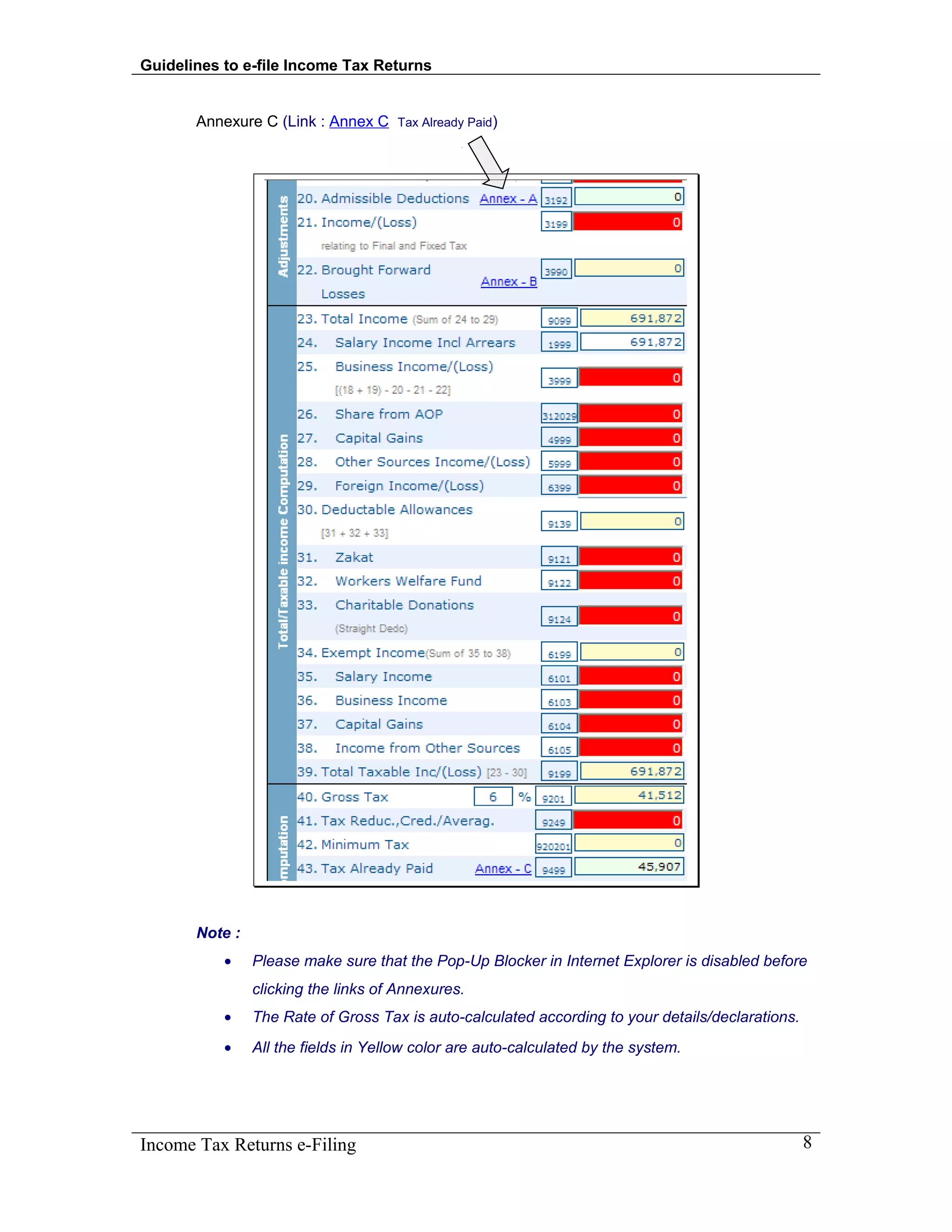 Income Tax Return E-File guideline | DOC