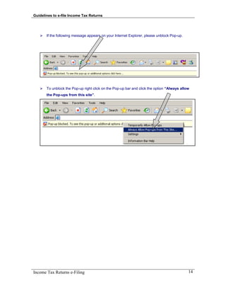 Income Tax Return E-File guideline | DOC | Business Accounting ...