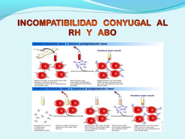 Incompatibilidad rh | PPT