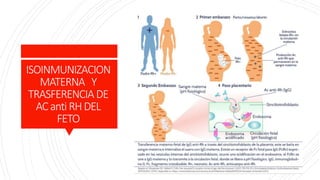 INCOMPATIBILIDAD RH EN NEONATOLOGIA PEDIATRIA | PPTX
