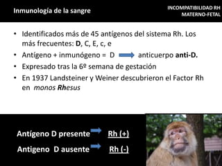Incompatibilidad rh materno fetal | PDF