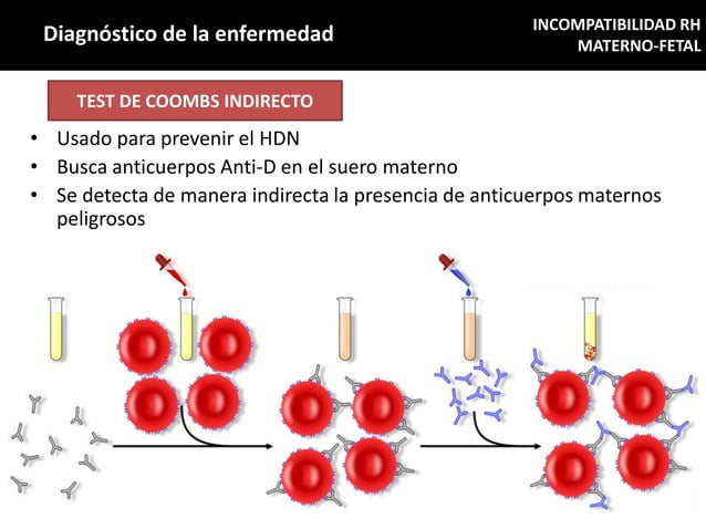 Incompatibilidad rh materno fetal | PDF