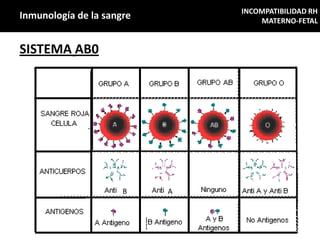 Incompatibilidad rh materno fetal | PDF