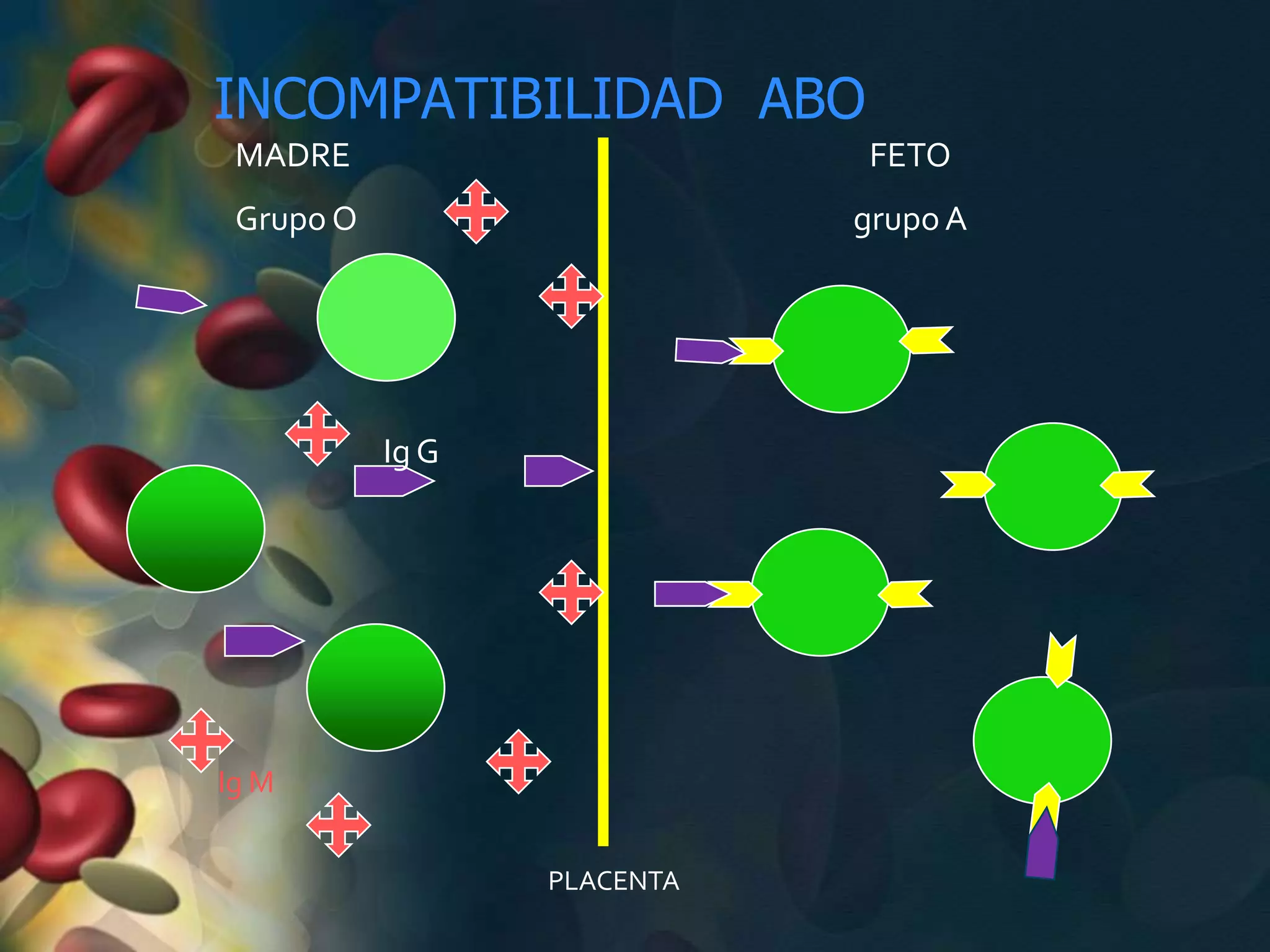 Incompatibilidad rh final | PPTX