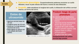 Incompetencia itsmicoCervical | PPTX