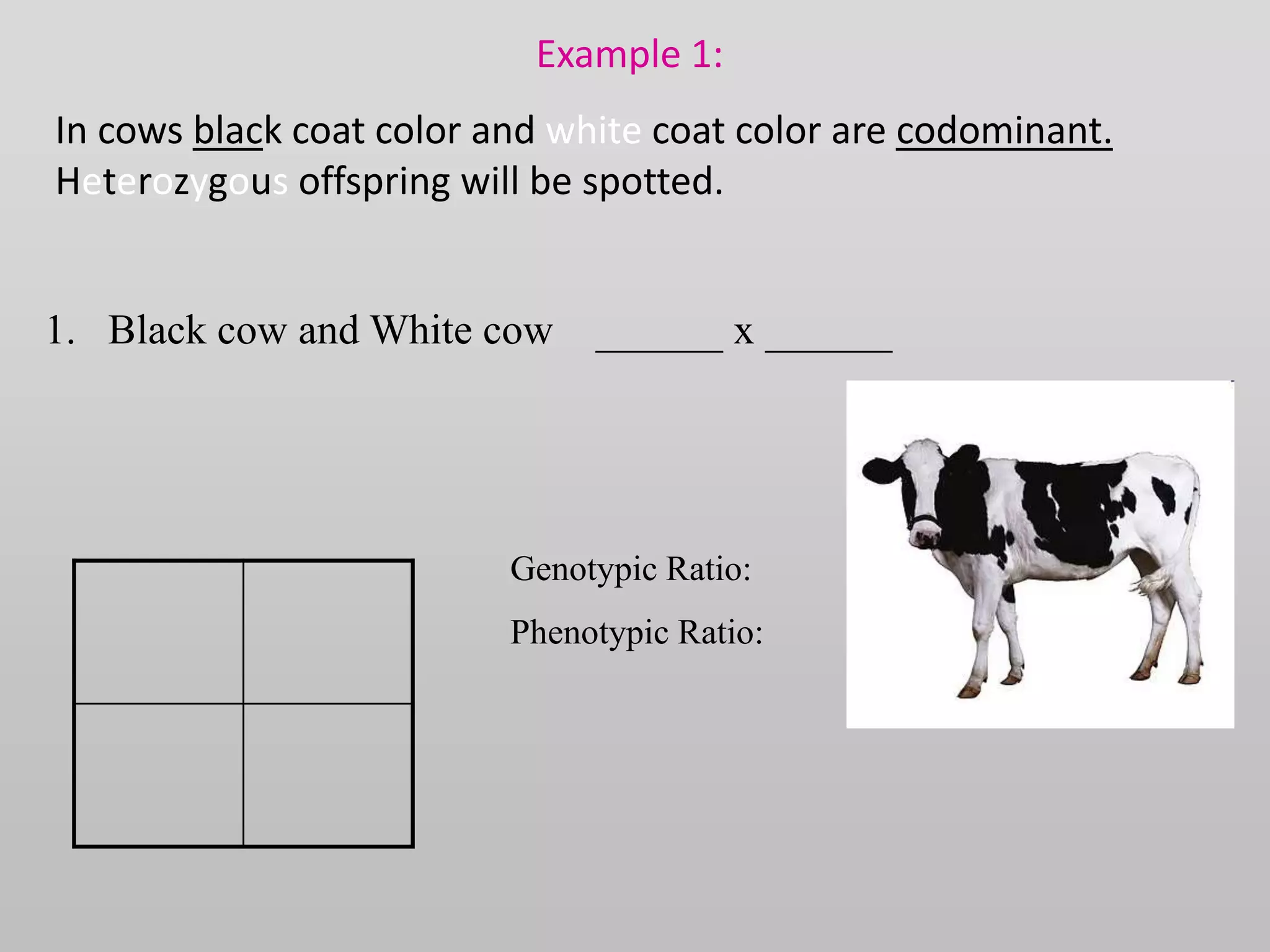 Incomplete and co dominance ppt | PPTX