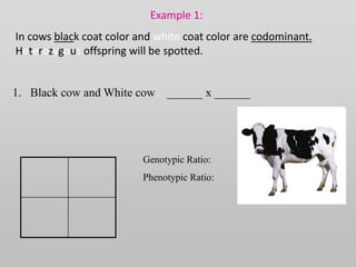 Incomplete and co dominance ppt | PPTX