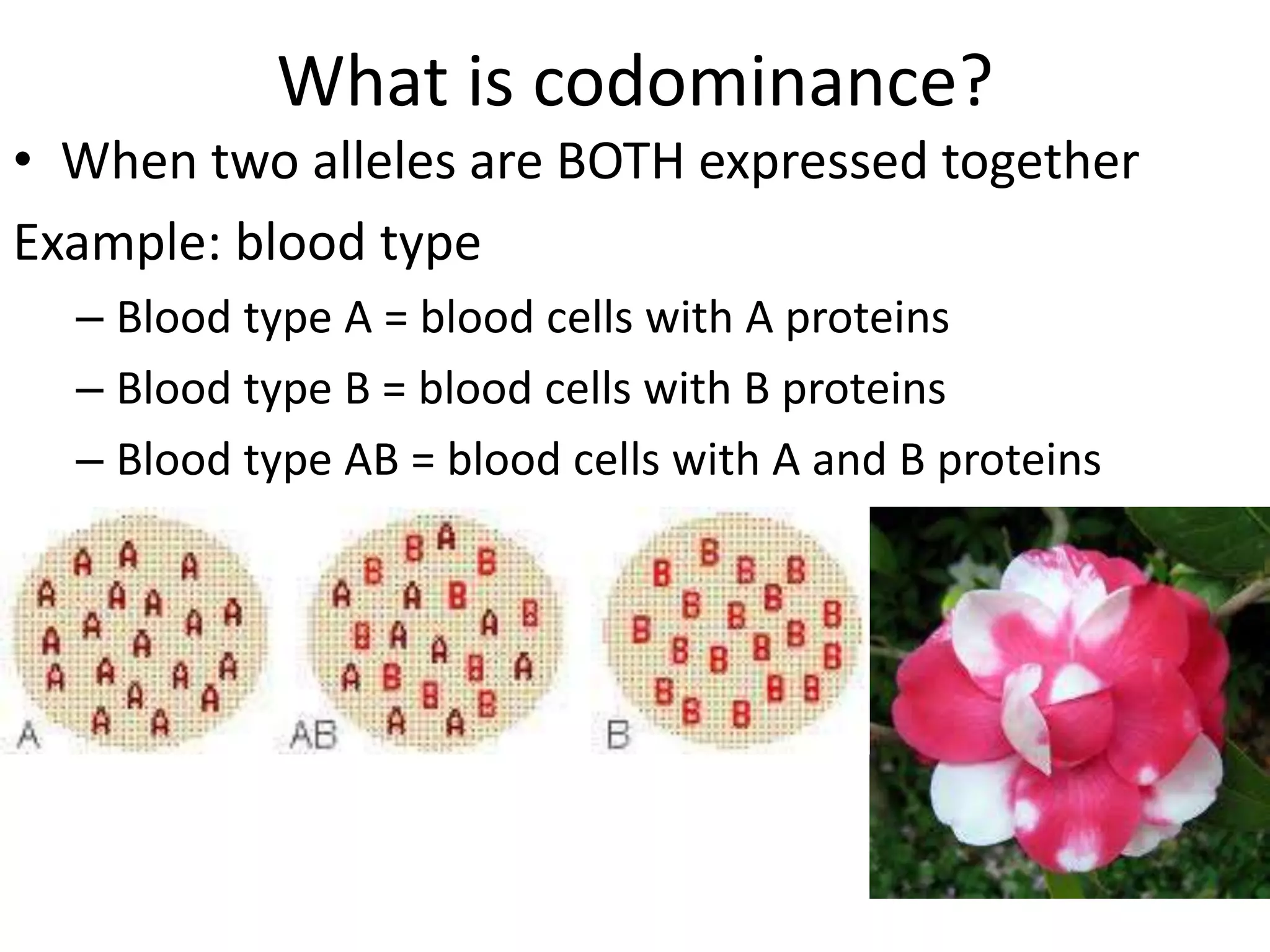 Incomplete and codominance | PPTX