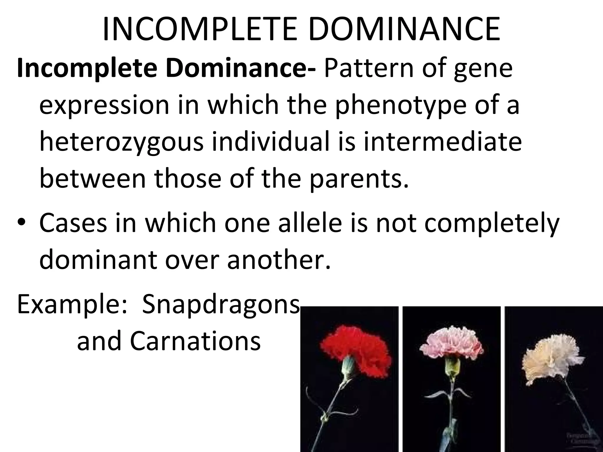 Incomplete codominance multiple_alleles | PPT