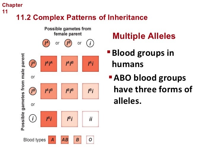 Incomplete Codominance Multiple alleles Incomplete Codominance Multiple alleles