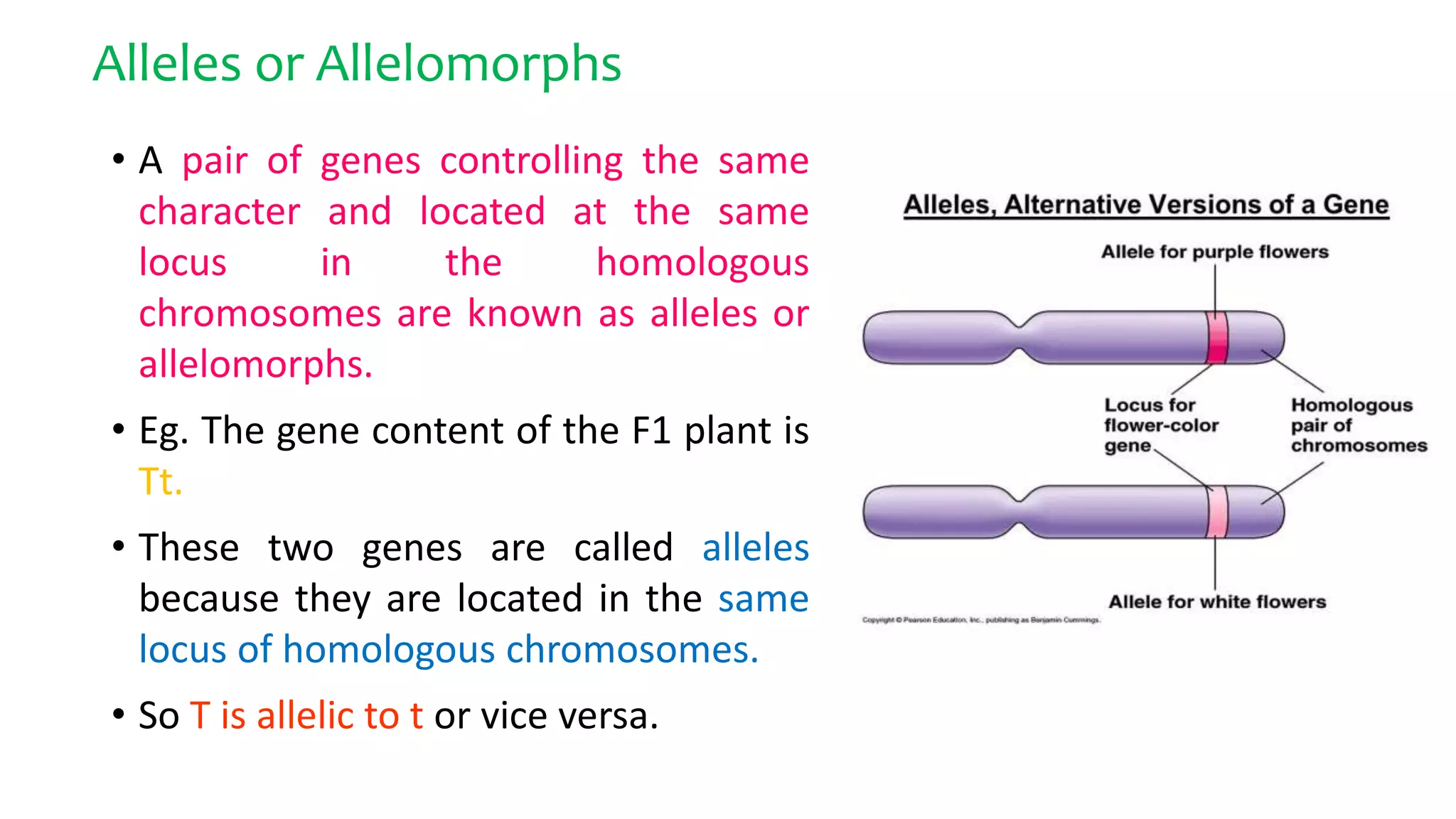 Incomplete dominance | PPTX