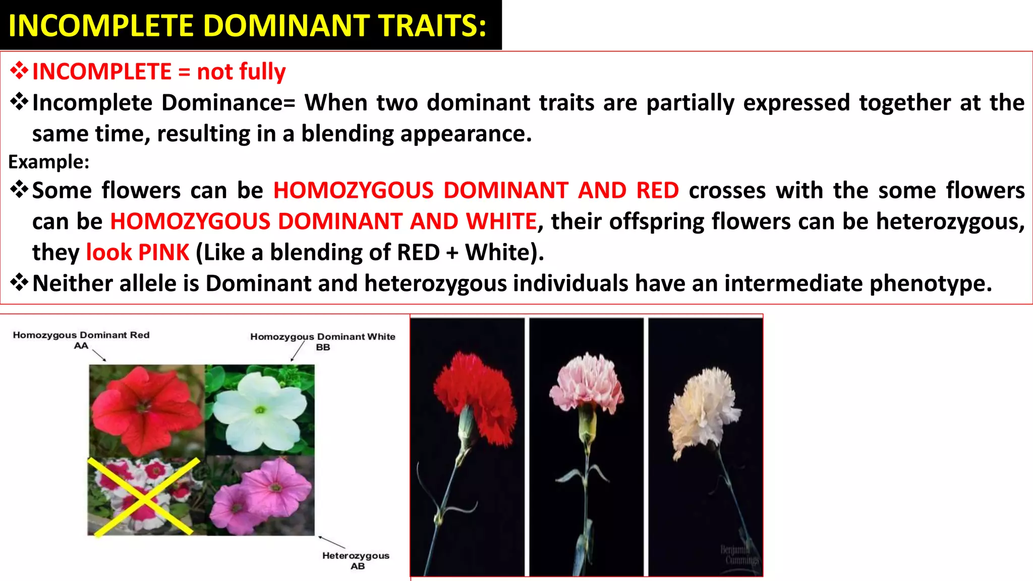 Incomplete dominance | PPTX