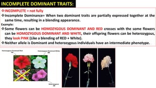 Incomplete dominance | PPTX