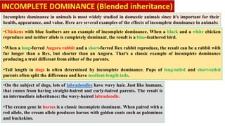 Incomplete Dominance In Dogs