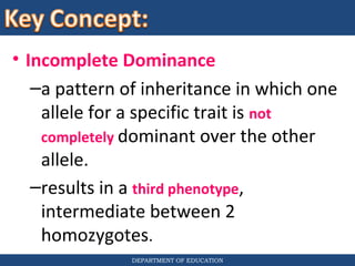 incomplete dominance.pdf